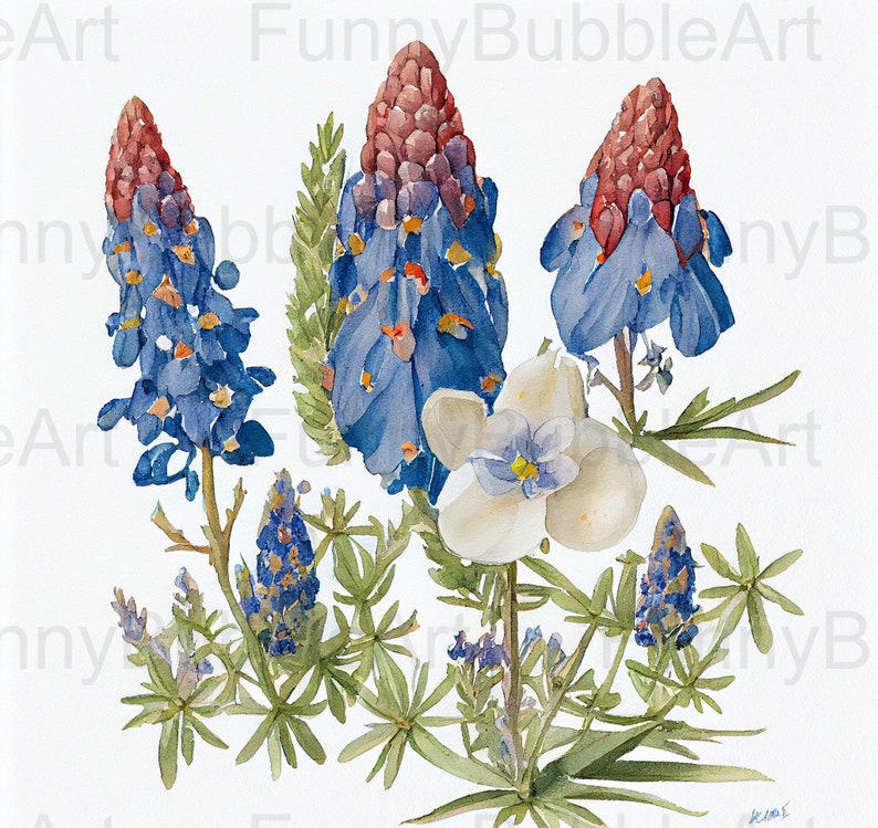 Texas Bluebonnets Watercolor Clipart Unique Flower - Etsy