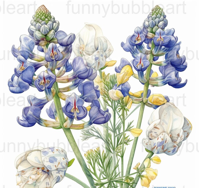 Texas Bluebonnets Watercolor Clipart Unique Flower, Wildflowers PNG ...