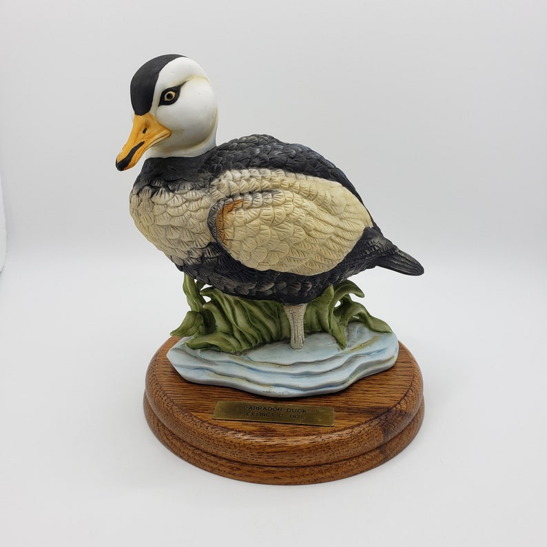 Rare Vintage 1980s Aldon Vanished Species Ceramic Labrador Duck - Etsy