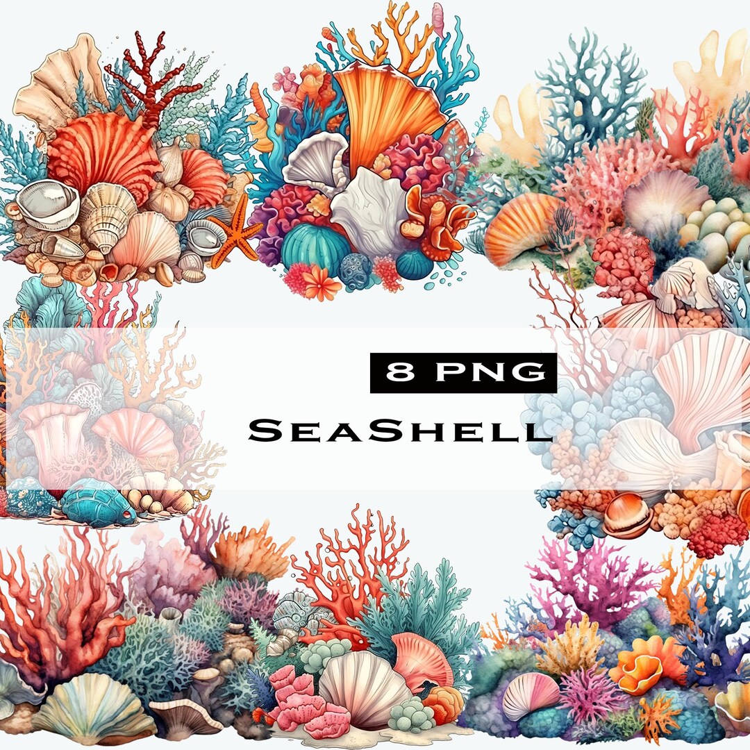 10 Watercolor Seashell Clipart, Beach Clipart, Nautical Clipart Bundle ...
