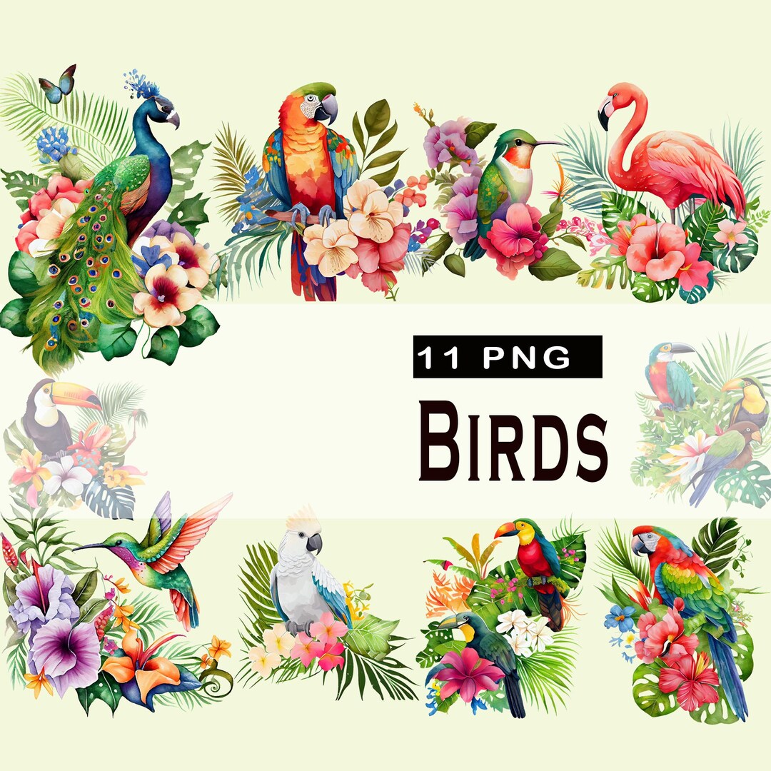 11 Watercolor Exotic Bird Clipart - Tropical Birds With Flowers and ...