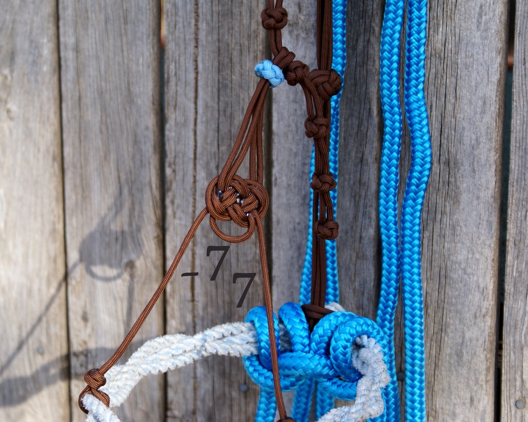 Handmade Round Noseband Braided Lariat Rope Crowfoot Loping Hackamore Fully Rigged & Ready to ...