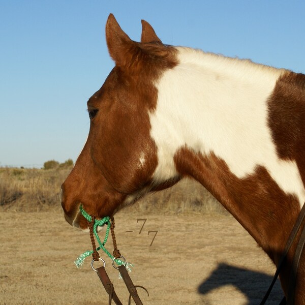 Rope Bridle - Etsy