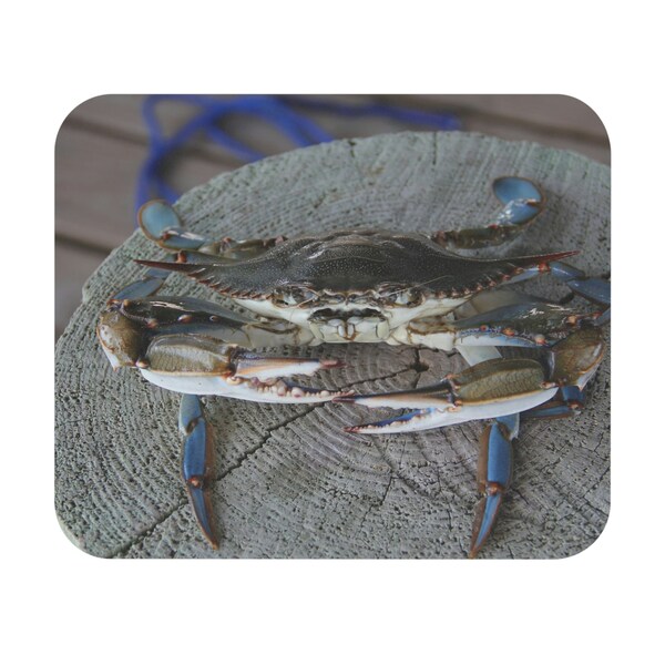 Crab Gift - Etsy
