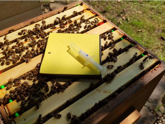 Varroa Treatment Evaporator Bee Pad Beekeeping Bee Treatment, Bee ...