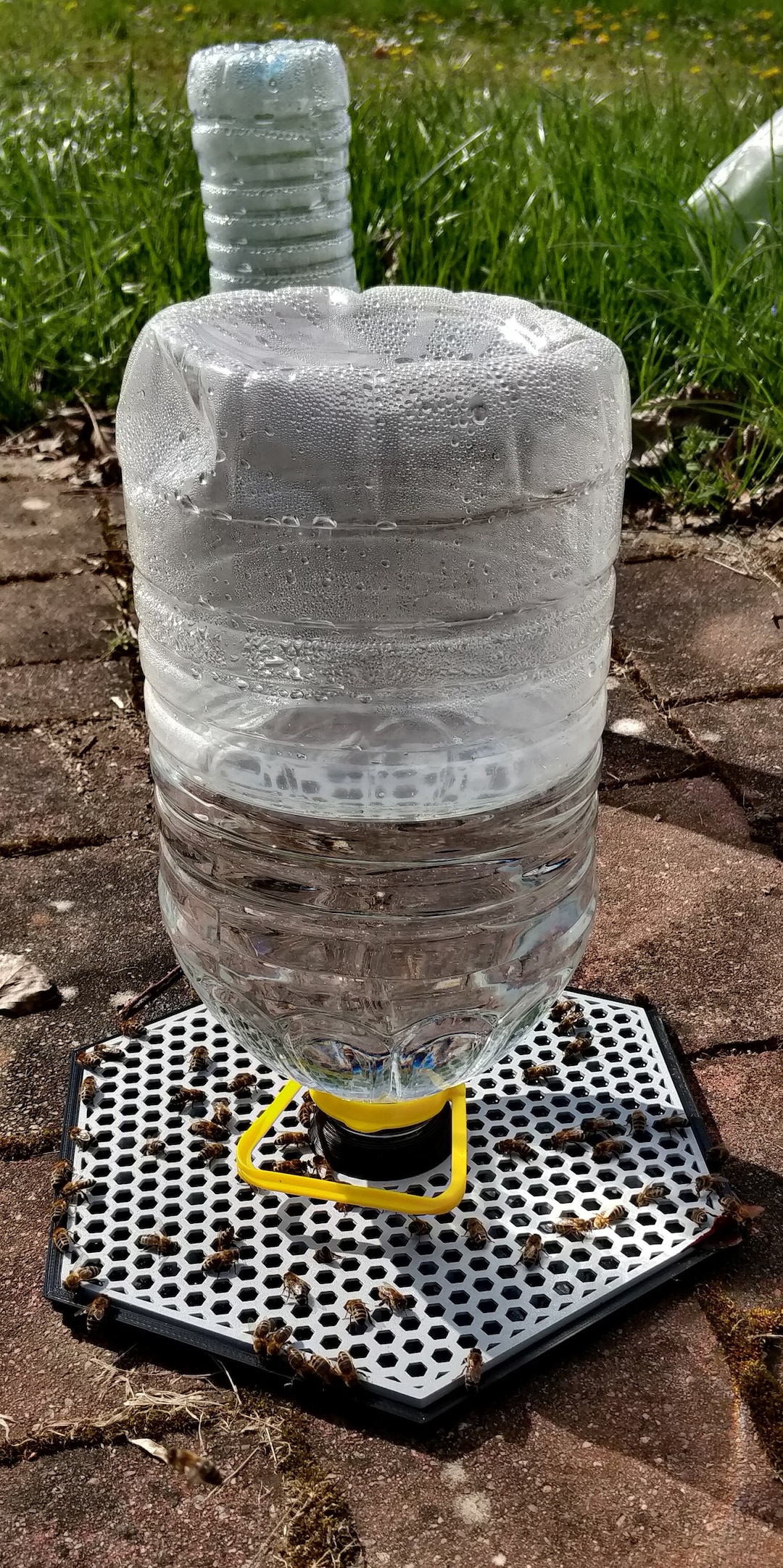 Automatic Bee Feeder Beekeeping Fresh Water Bee Feeder for - Etsy