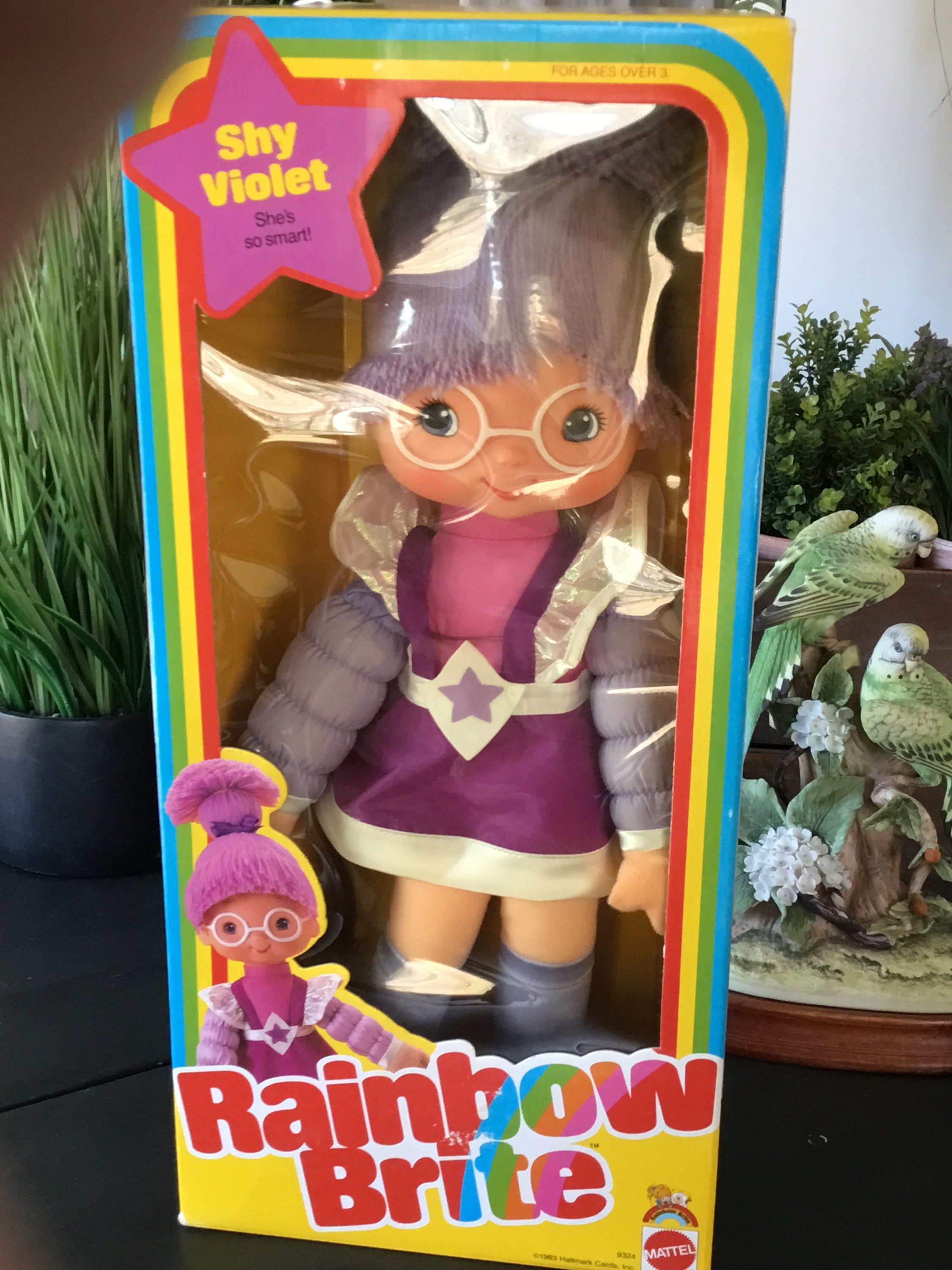 1983 Rainbow Brite Shy Violet Doll. Rainbow Brite. Mattel - Etsy