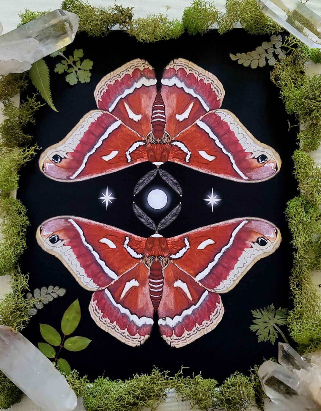 Silk Moth Sisters Print Moth Art, Insect Art, Gifts for Sisters From ...
