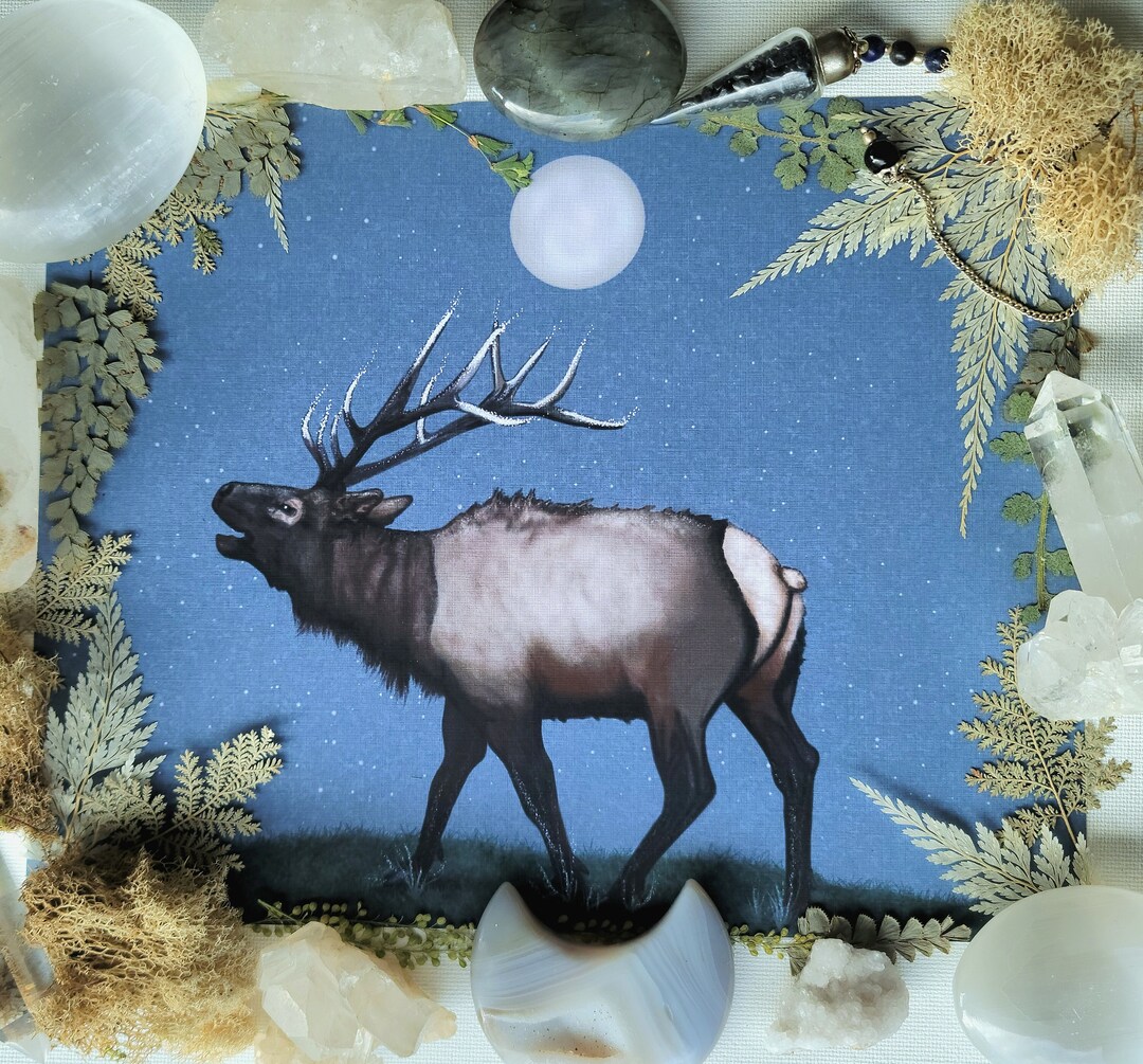 Elk and Night Moon Nature Print Woodland Creature Wall Decor Nighttime ...