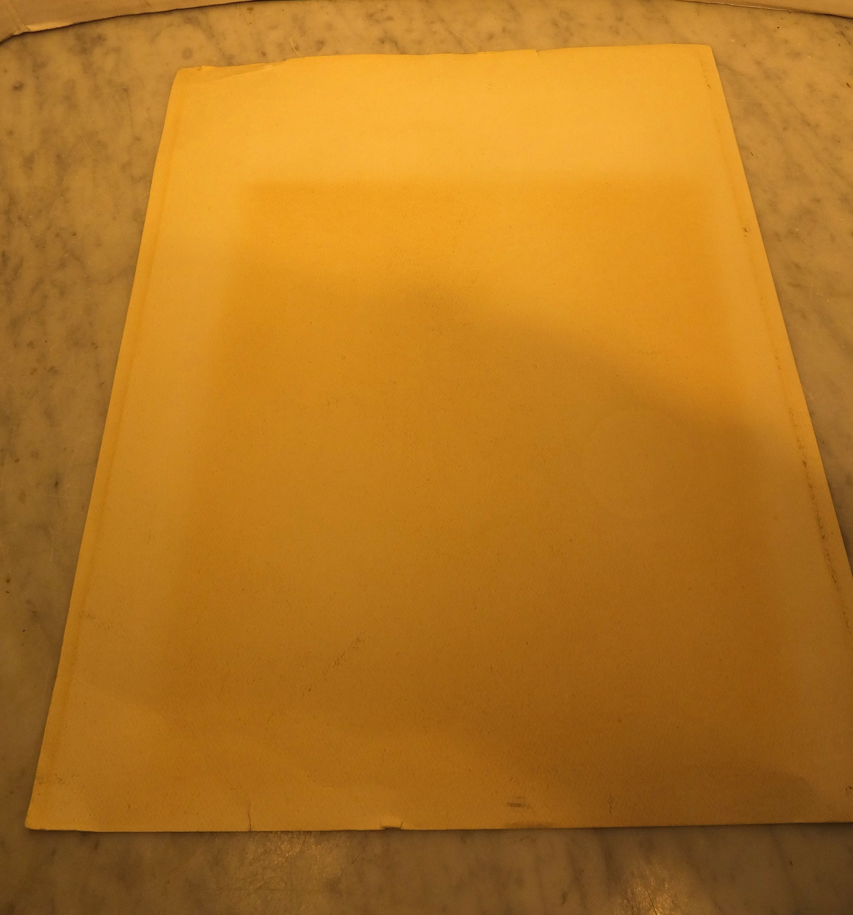 Photo of Shirley Temple With a Baby Goat - Etsy