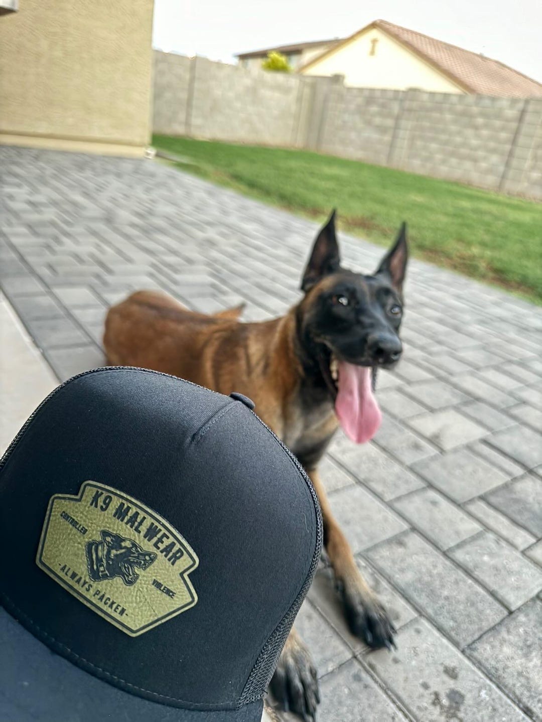 K9 Police Trucker Hat Snapback Malinois Stellen Black Mesh Law ...