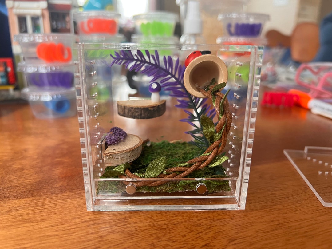 Modular Decorated Jumping Spider Sling Enclosure - Etsy