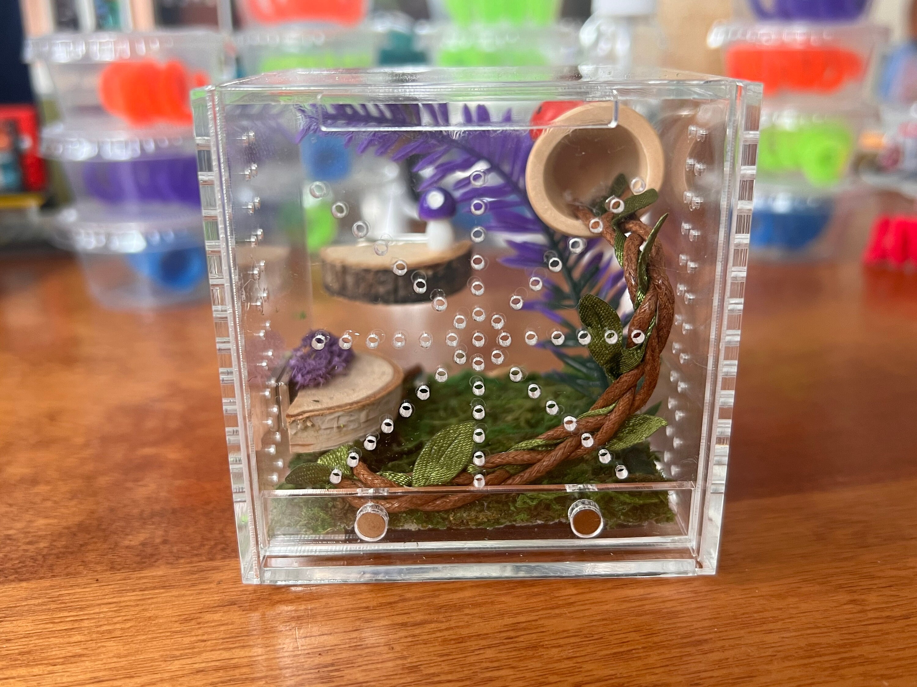 Modular Decorated Jumping Spider Sling Enclosure - Etsy