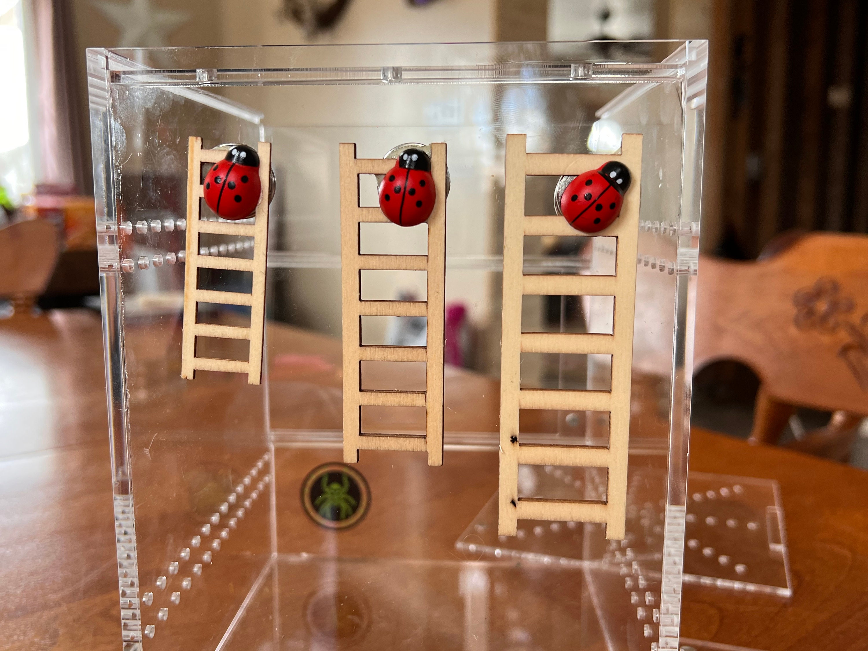 Magnetic Ladder for Jumping Spiders - Etsy