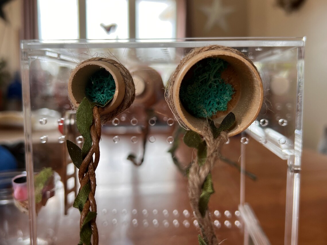 Jumping Spider Barrel Hide With Vine Ladder - Etsy