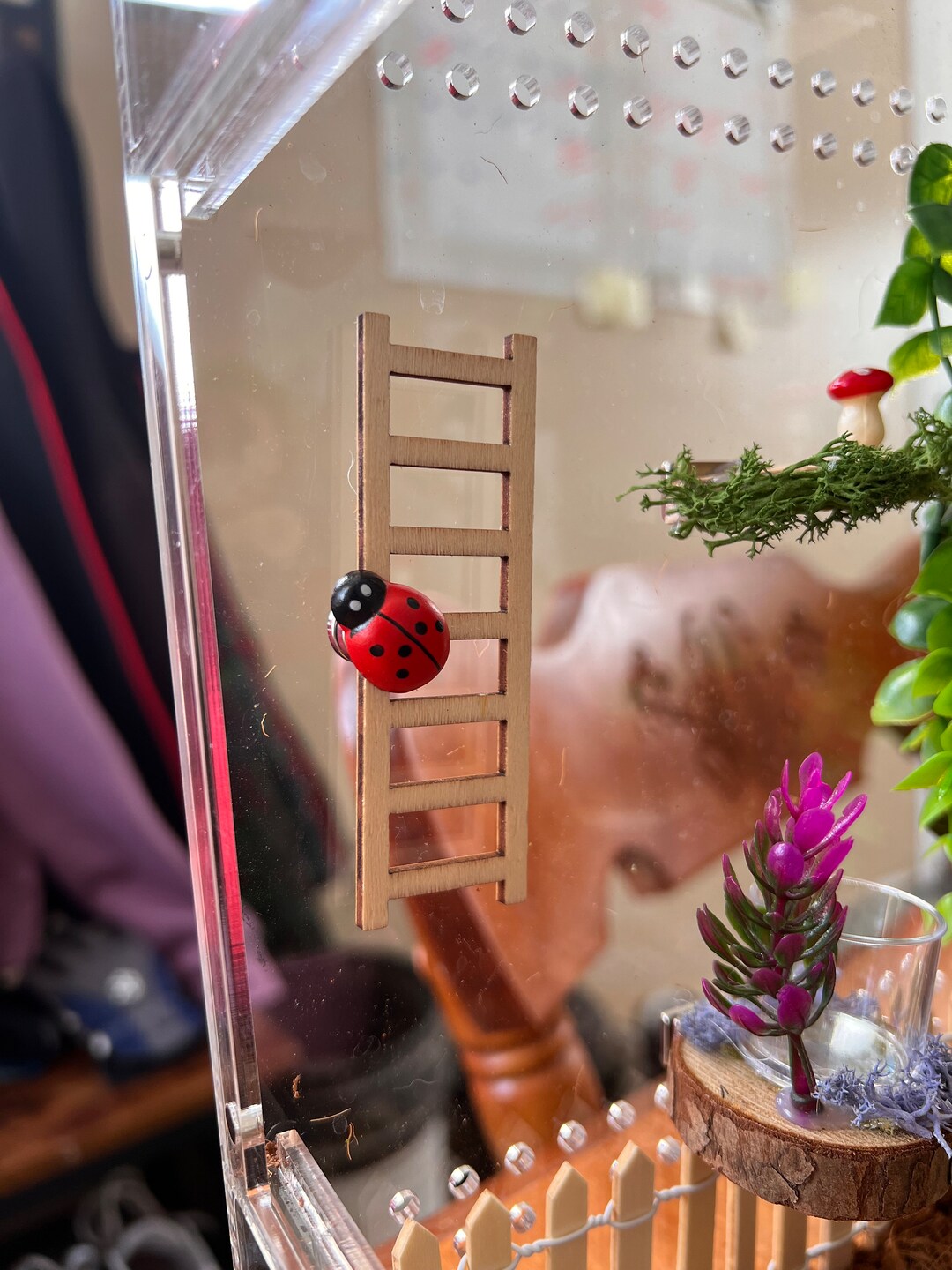 Magnetic Ladder for Jumping Spiders - Etsy