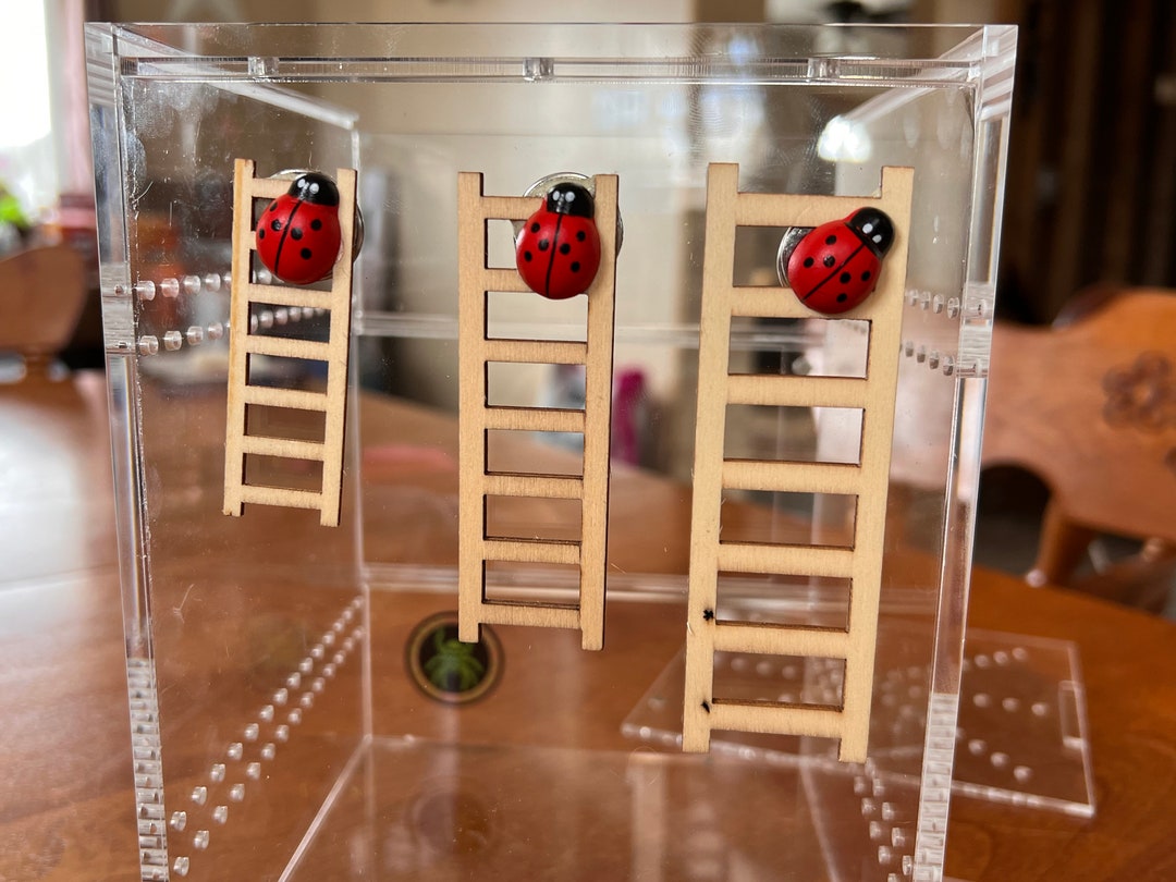Magnetic Ladder for Jumping Spiders - Etsy