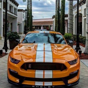 6" Twin 2 Color Rally Stripe Graphics Set FIT All Model 2015 - 2025 ...