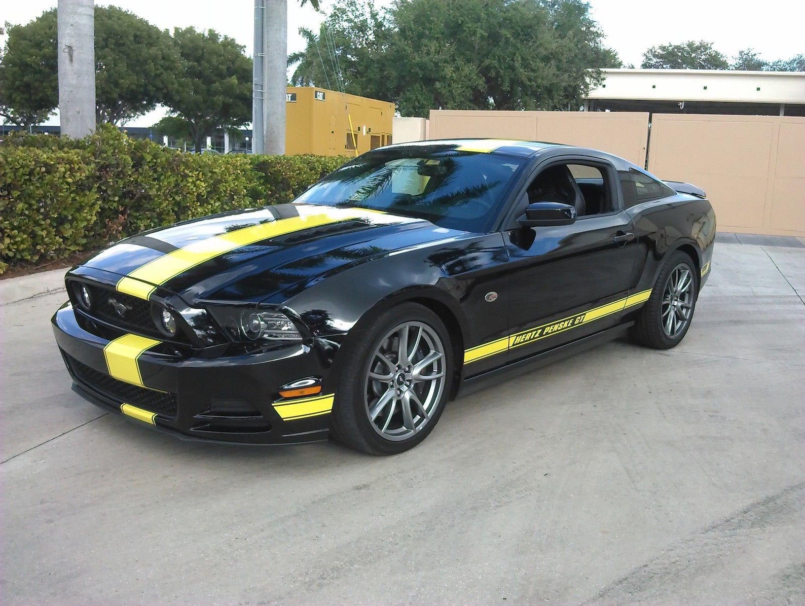 12" Hertz Style off Set Rally Stripes FIT Model 2005 - 2014 Mustang - Etsy