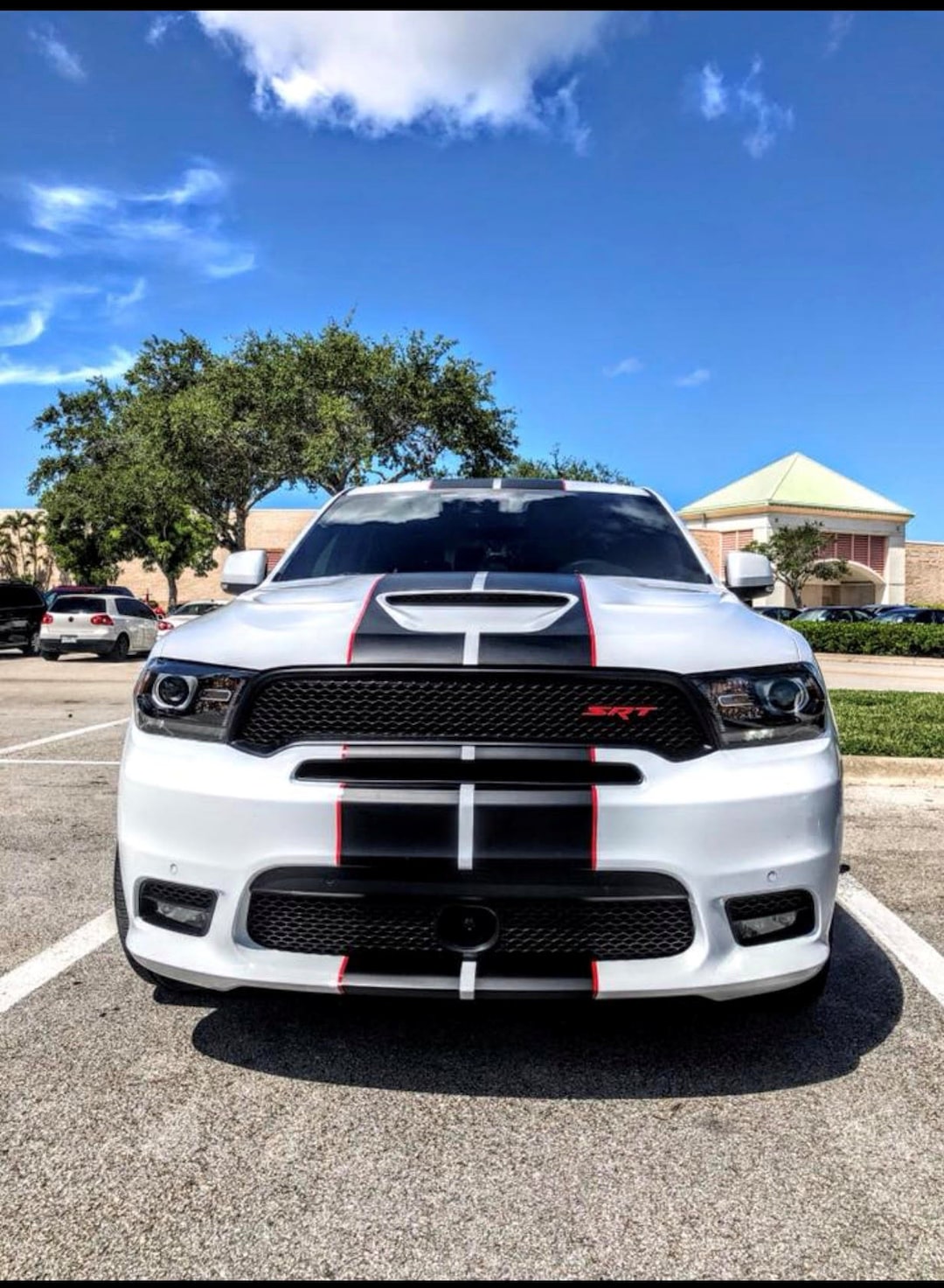 10" Twin 2 Color Rally Stripes FIT ALL Model 2008- UP Dodge Durango Gt ...