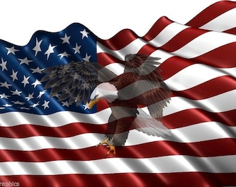 American Flag Eagle Rip Tear Race Car Go Kart Golf Cart Helmet Tool Box ...