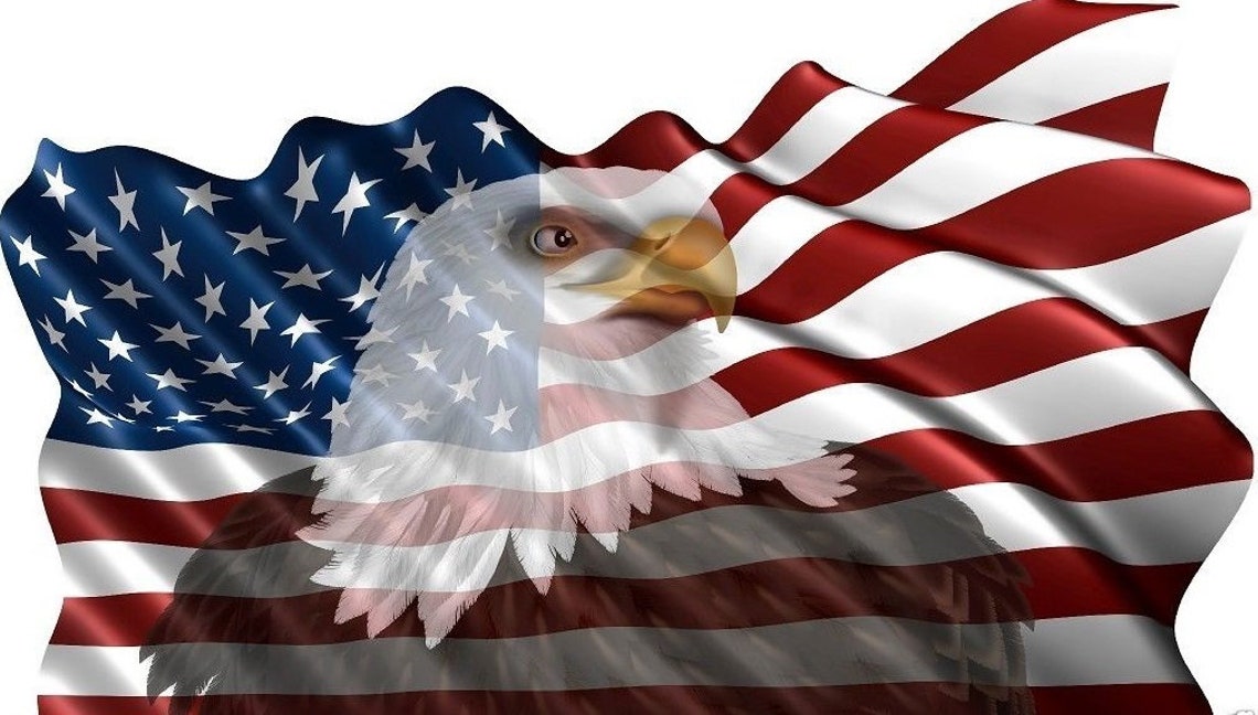 American Flag With Faded Eagle Head Graphic Mural Decals / Stickers Fit ...