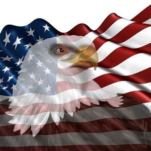 American Flag With Faded Eagle Head Graphic Mural Decals / Stickers Fit ...