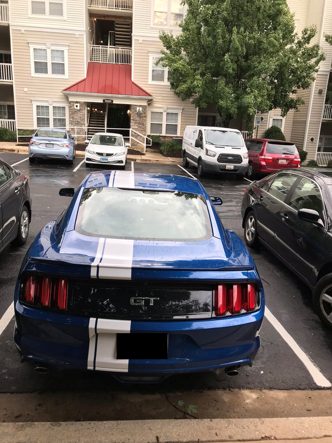 10" Offset Rally Stripe Graphics Set FIT All Model 2015 - 2023 Mustang ...