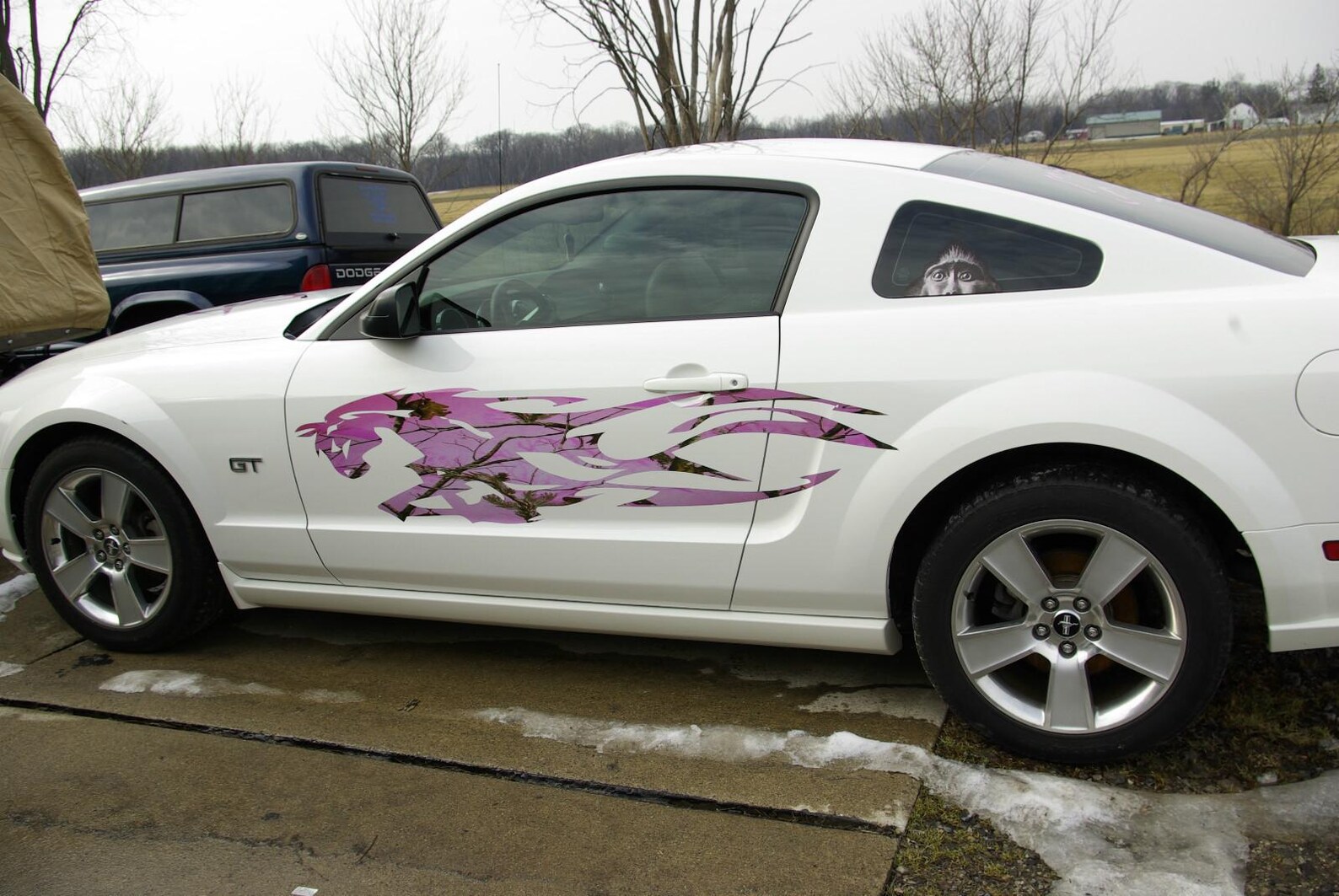 Universal Tribal Mustang Pony Side Graphics FIT All Model Car Truck or ...