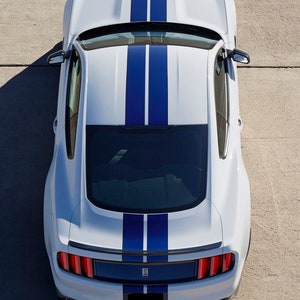 6 Twin 2 Color Rally Stripe Graphics Set FIT All Model 2015 2023 ...