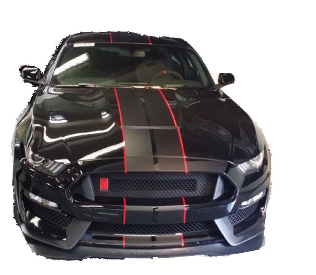 6 Twin 2 Color Rally Stripe Graphics Set FIT All Model 2015 2023 ...