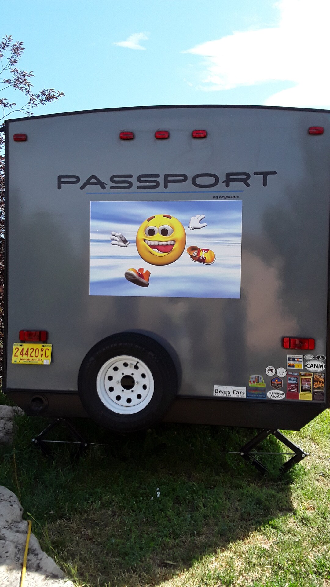 Jumping Happy Face Trailer or RV Graphic Mural Decal / Sticker Fit Wall ...