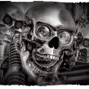 Biker Headlight Skull Trailer or RV Graphic Mural Decal / Sticker Fit ...