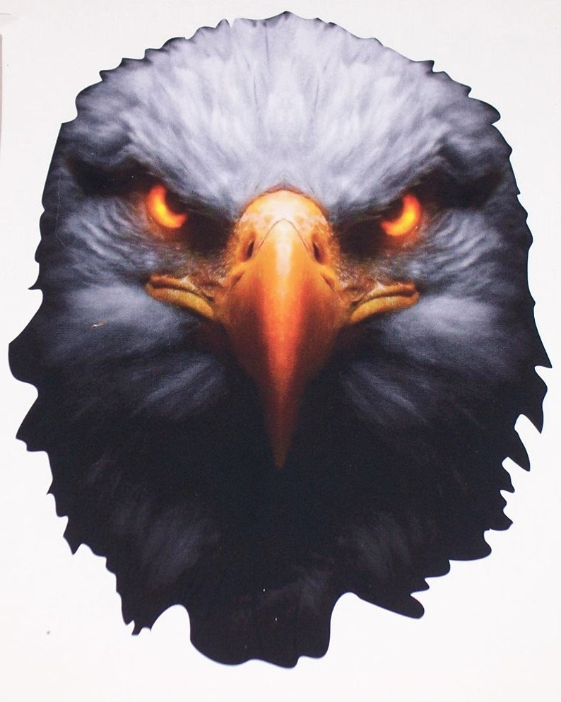 Angry Glowing Eyes Eagle Head Decal / Sticker Great for Car - Etsy