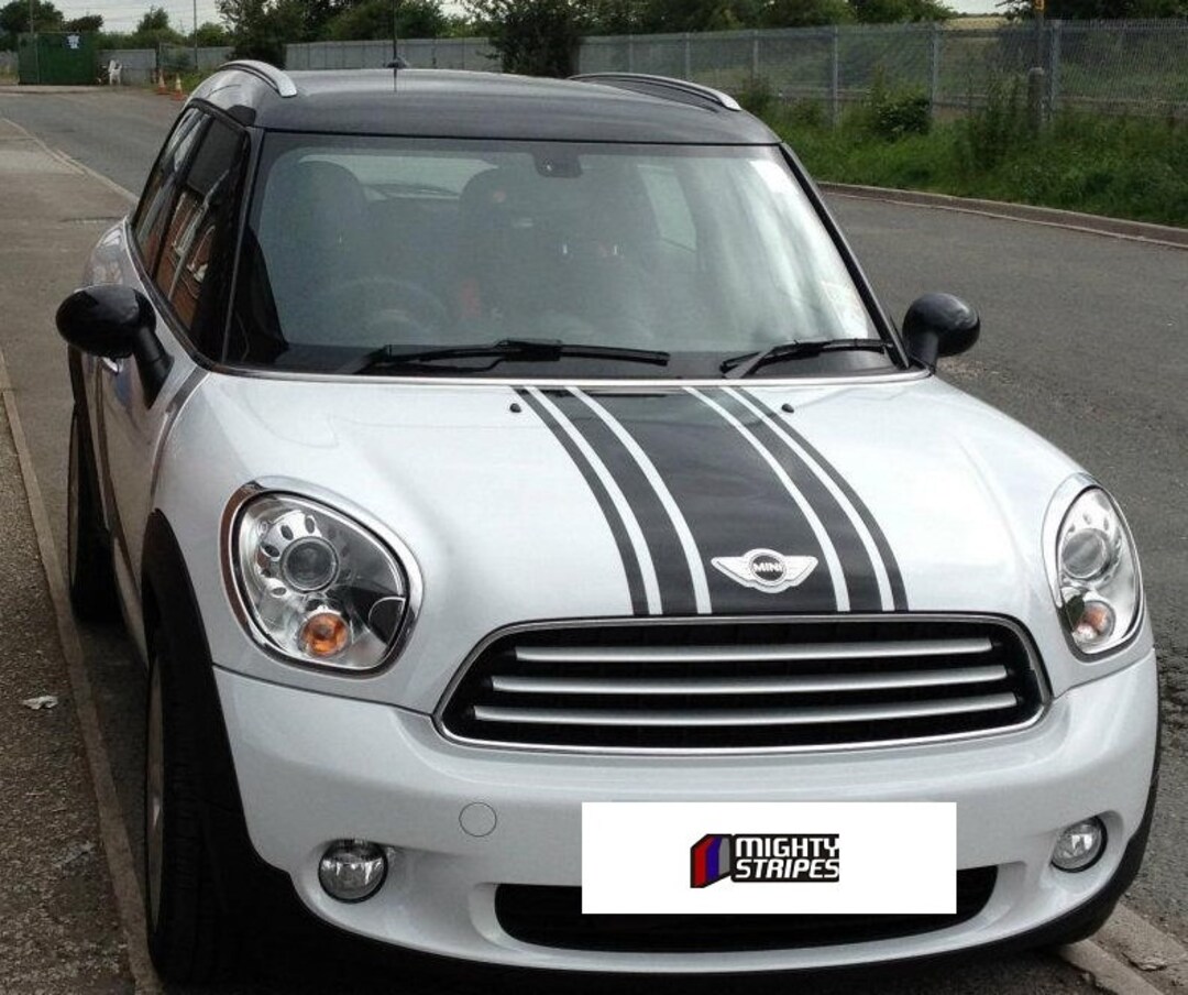 20 Horizontal Gradient Center Bonnet & Boot Stripe Graphics FIT All ...