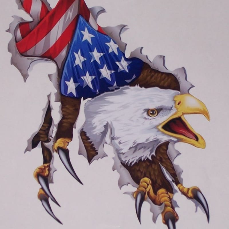 Eagle Decals - Etsy