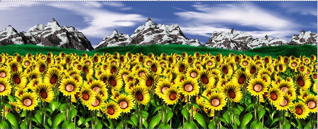 Sunflower Patch RV Camper Trailer or Motorhome Mural MATCH Your Camper ...
