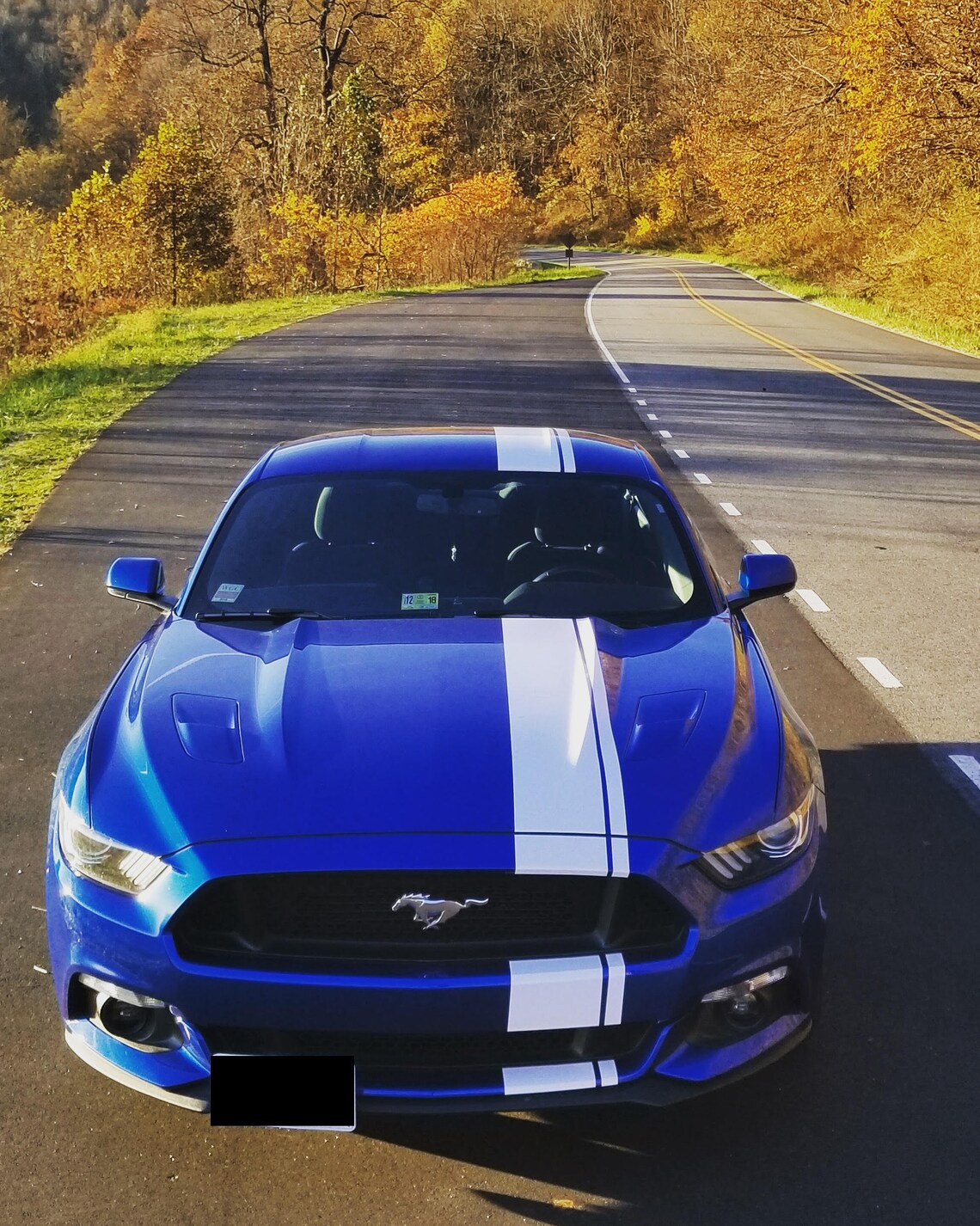 10" Offset Rally Stripe Graphics Set FIT All Model 2015 - 2023 Mustang ...