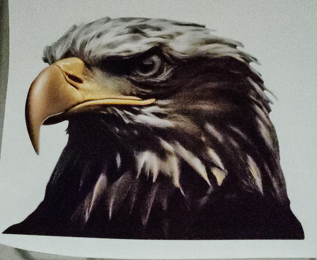 The General Angry Bald Eagle Head Graphic Decal / Sticker - Etsy