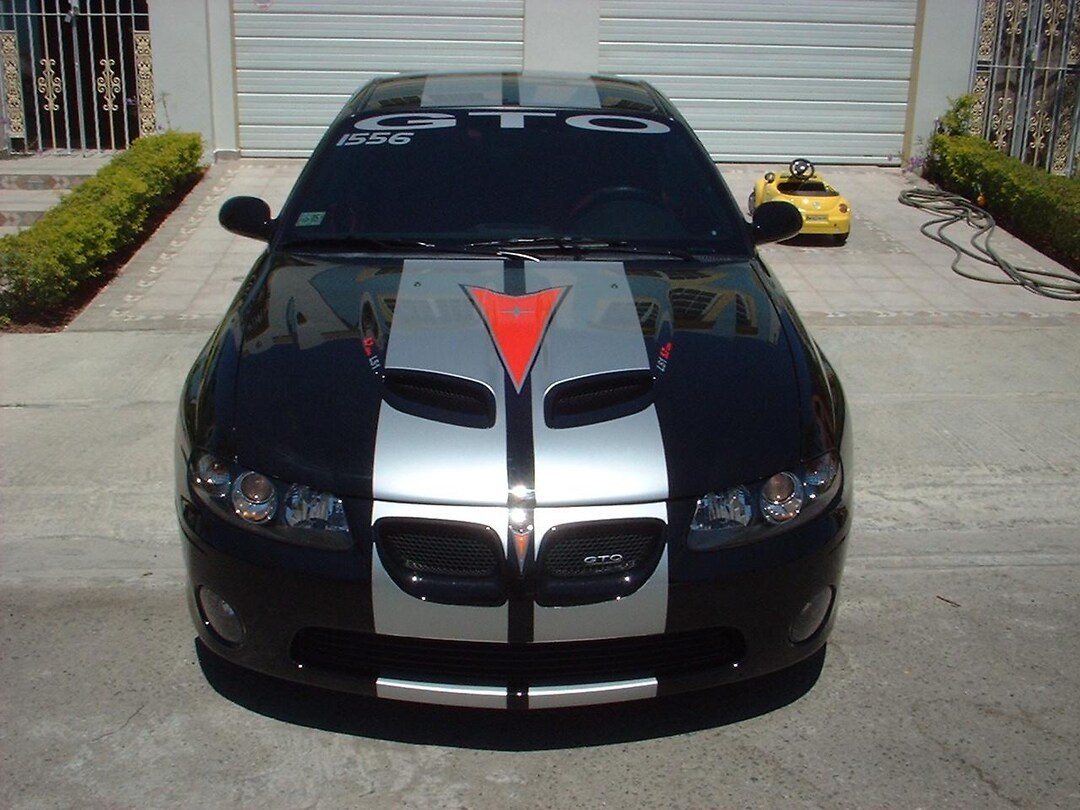 10" 2 Color Logo Rally Stripes FIT ALL Model GTO G8 and Solstice - Etsy