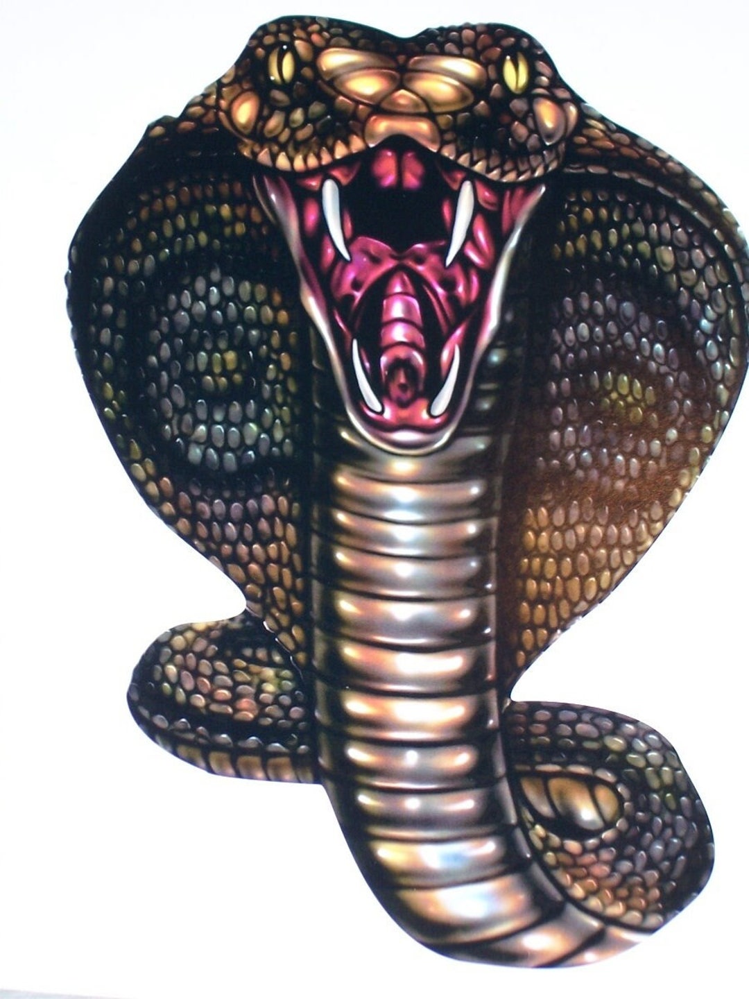 Full Color Cobra Snake Decal / Sticker Great for Car Truck or SUV ...
