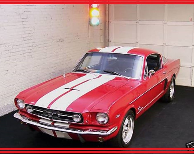 10" PLAIN Rally Stripe Graphics Set FIT All Model Early Mustang 1964 ...