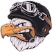 Angry Aviation or Biker Eagle #2 Decal / Sticker Great for Car Truck or ...