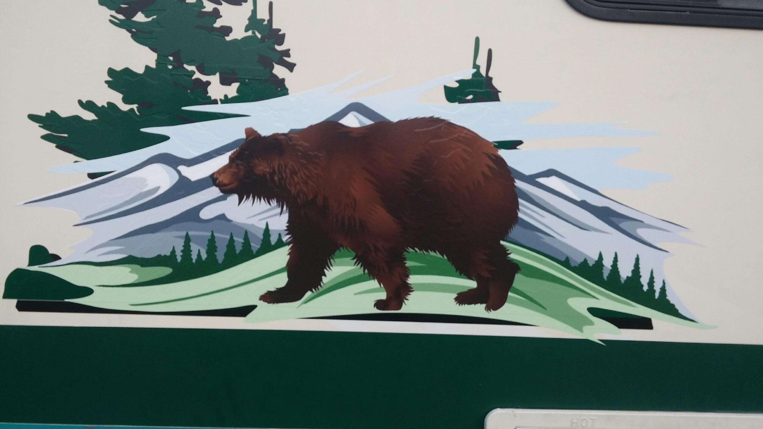 Brown Bear Trailer or RV Graphic Mural Decal / Sticker Fit Wall Camper ...