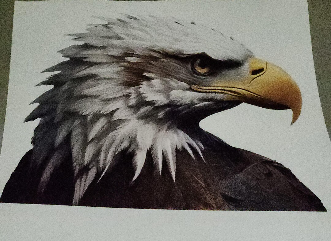 The Watcher Angry Bald Eagle Head Graphic Decal / Sticker - Etsy
