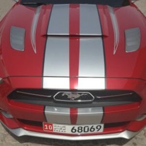 10" Twin 2 Color Rally Stripes FIT ALL Model 2015 - UP Mustang ...