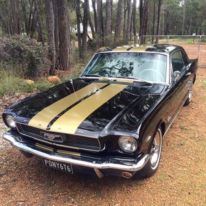 10" PLAIN Rally Stripe Graphics Set FIT All Model Early Mustang 1964 ...