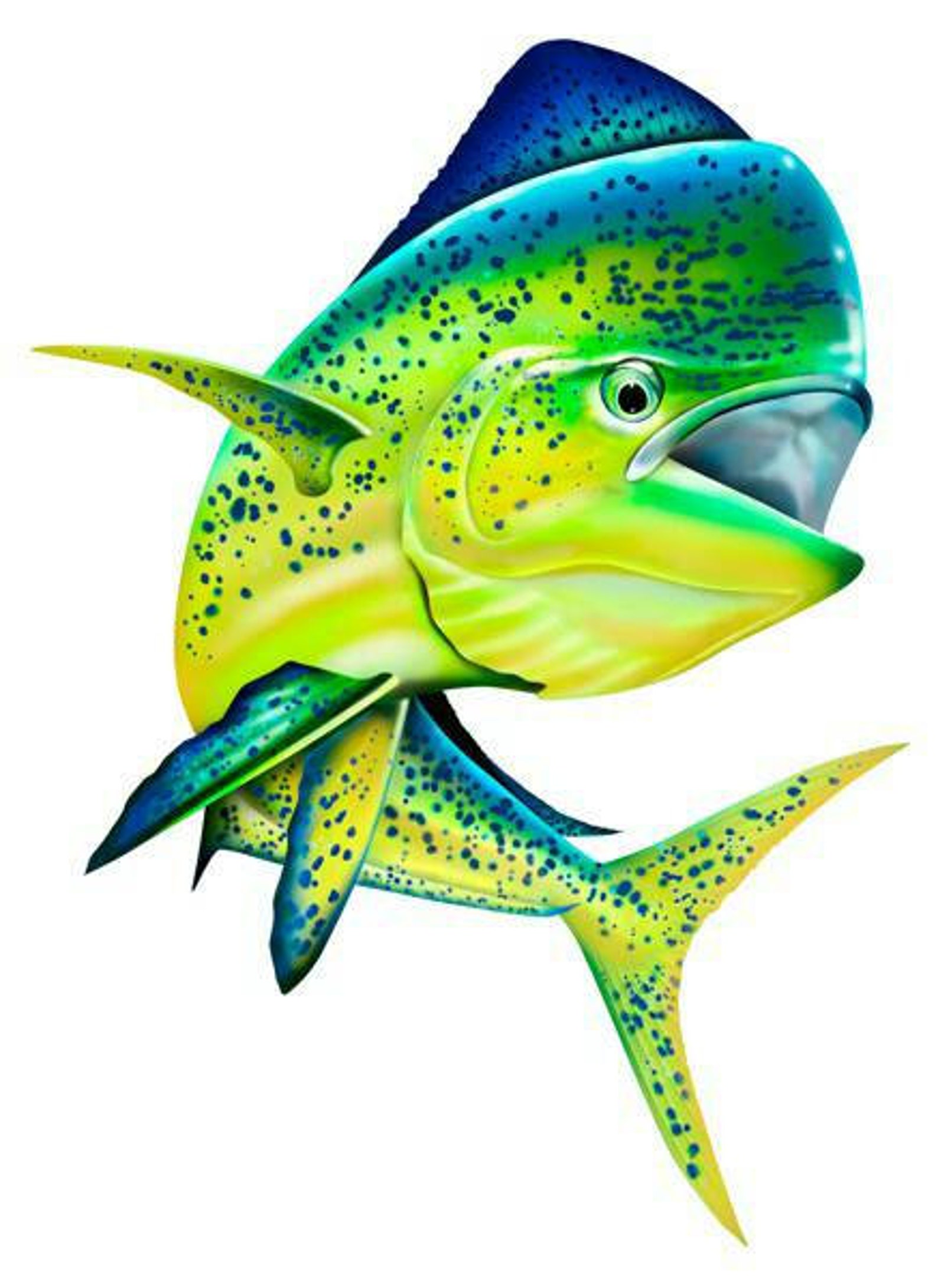 Mahi Mahi Fish Decal / Sticker Great for Car Truck or SUV Window - Etsy