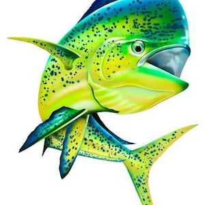 Mahi Mahi Fish Decal / Sticker Great for Car Truck or SUV Window - Etsy
