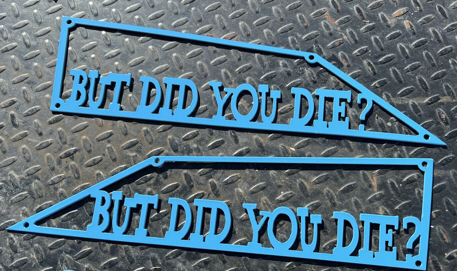 Custom Steel “but Did You Die” Polaris RZR Intake Bezel Cover 2017-2023 ...